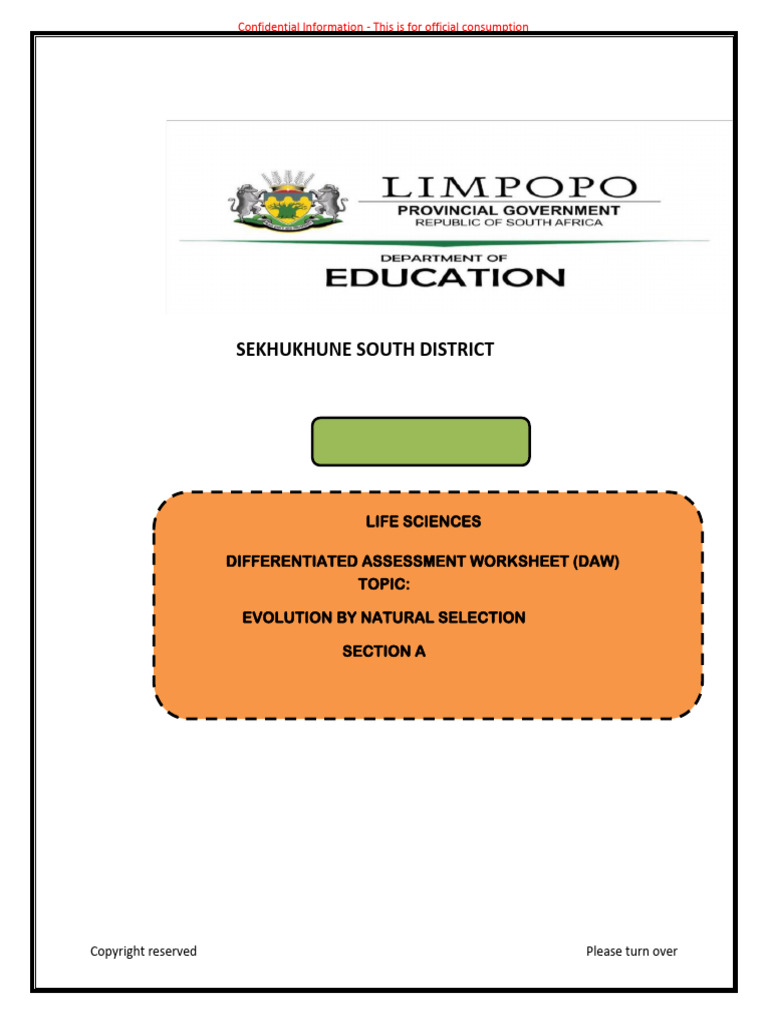 G12 Daw Evilution MG Level 1 and 2 | PDF