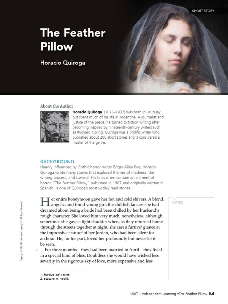The Feather Pillow PDF | PDF