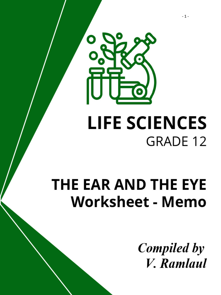 Life Sciences GR 12 Worksheet Memo | PDF