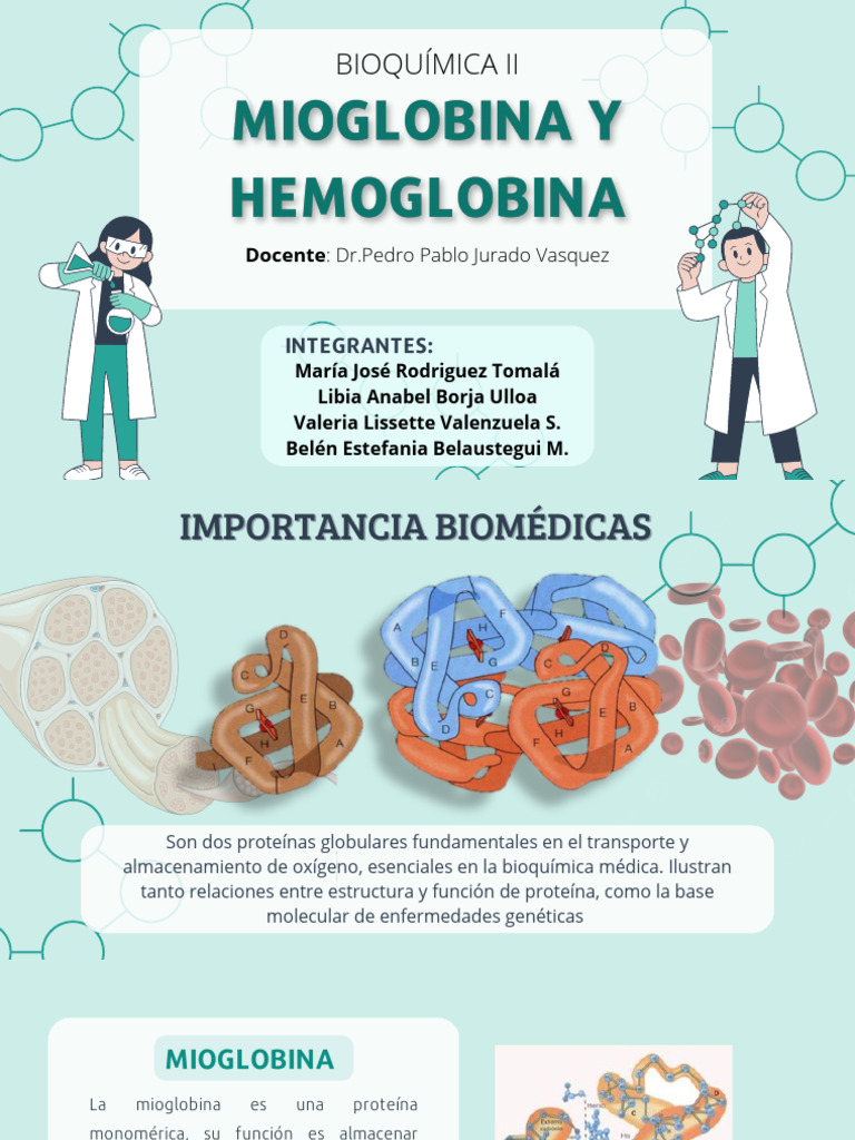 Mioglobina y hemoglobina | PDF