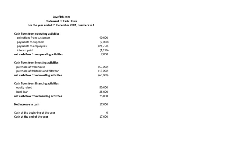 Love Fish Cash Flow Statement | PDF