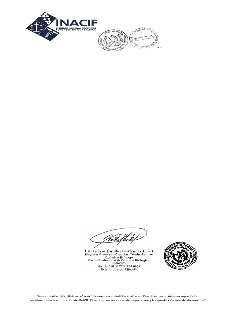 Dictamen Pericial 2 | PDF