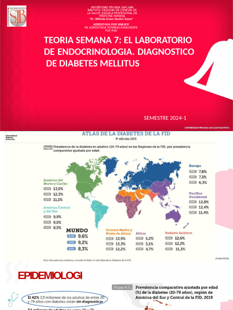 Diabetes Mellitus Teoria 2024 | PDF