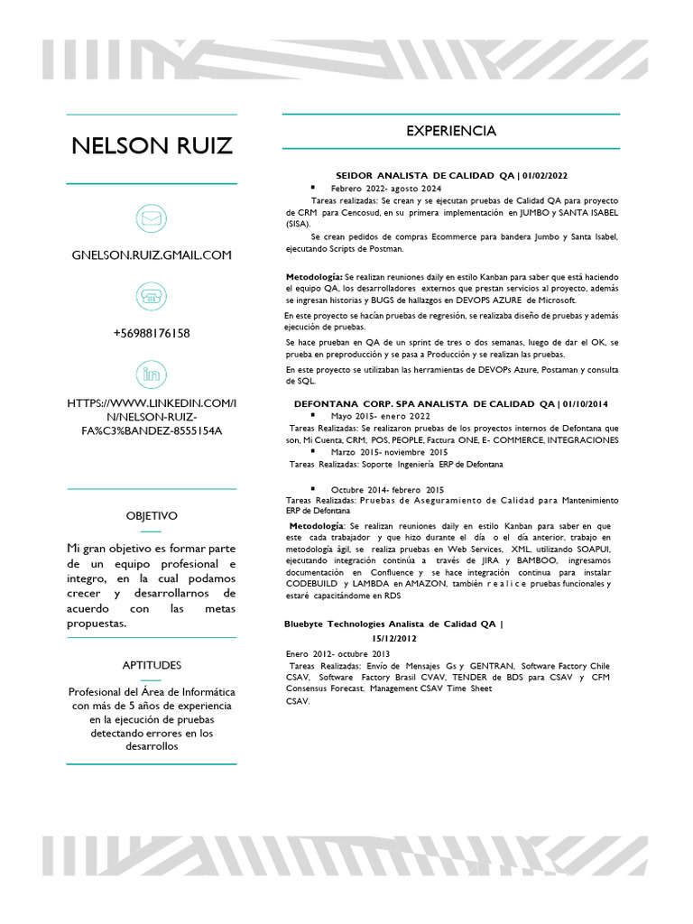 CV Nelson Ruiz | PDF