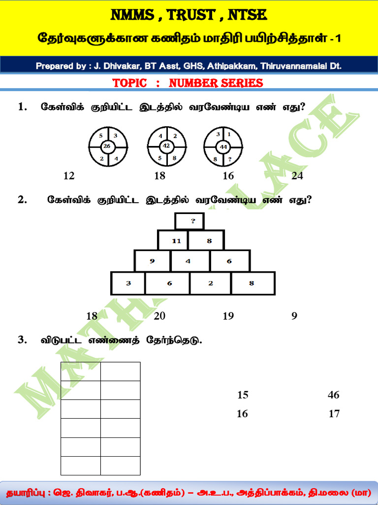 NMMS TRUST NTSE Maths Model - 1 - 1 | PDF