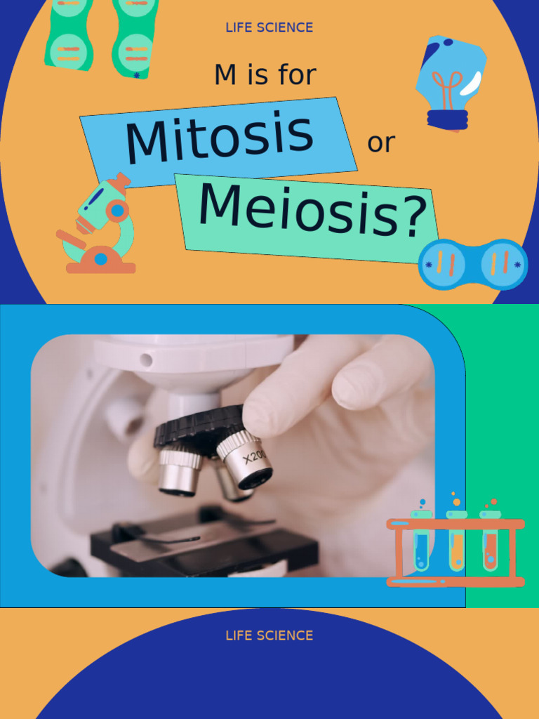Types Of Cell Division Mitosis And Meiosis Pdf