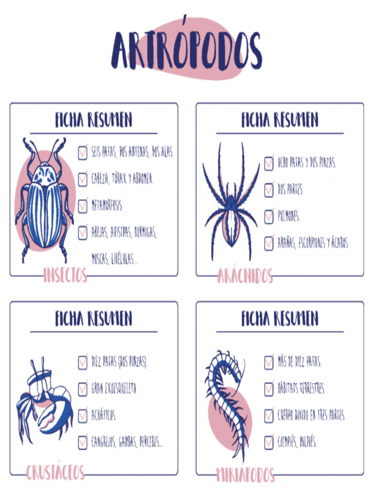 Artrópodos | PDF