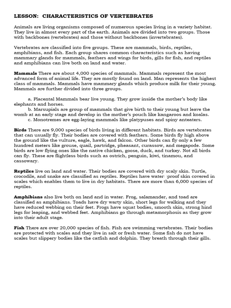 CHARACTERISTICS OF VERTEBRATES | PDF