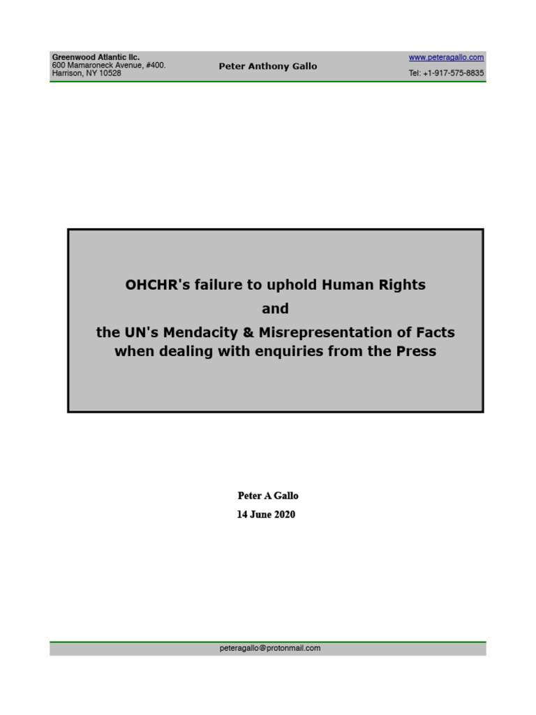 OHCHR's Failure To Uphold Human Rights: The UN's Mendacity ...