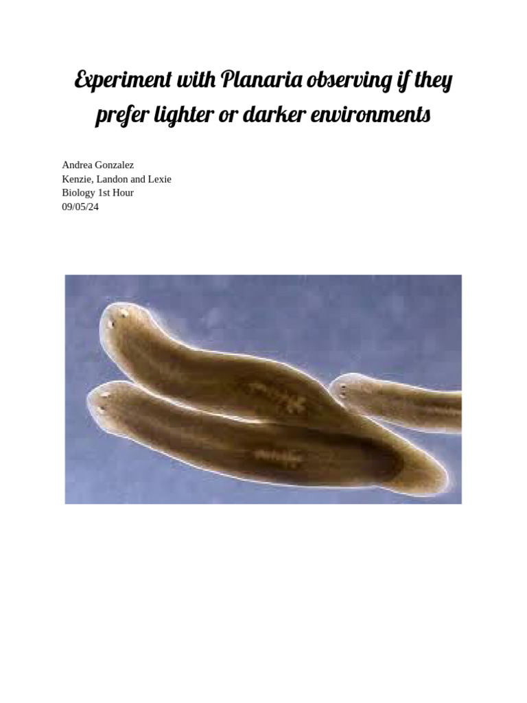 Planaria Lab Report-Andrea Gonzalez | PDF