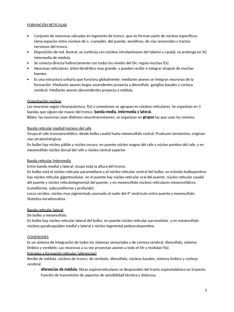 Clase 4 Formación Reticular Pdf