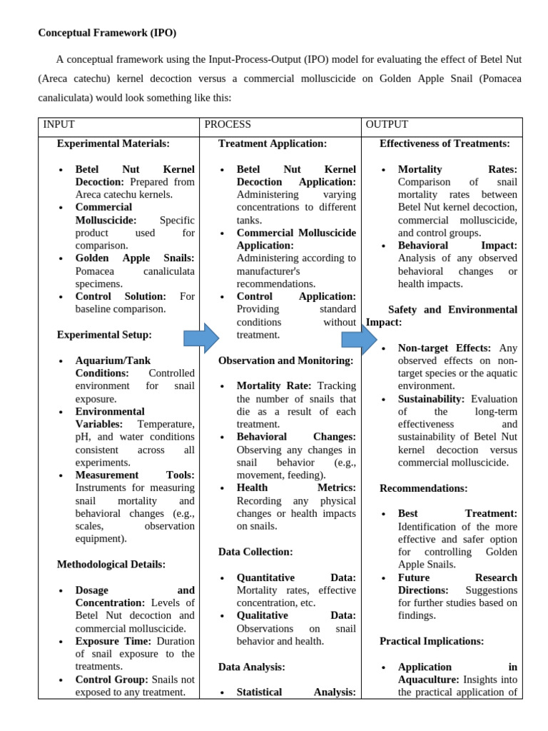 Conceptual Framework | PDF