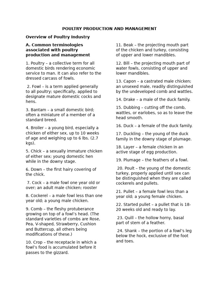Poultry Production and Management | PDF | Technology & Engineering