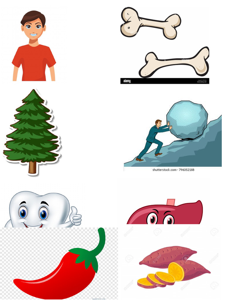 Abecedario en Achi Con Su Imagen | PDF