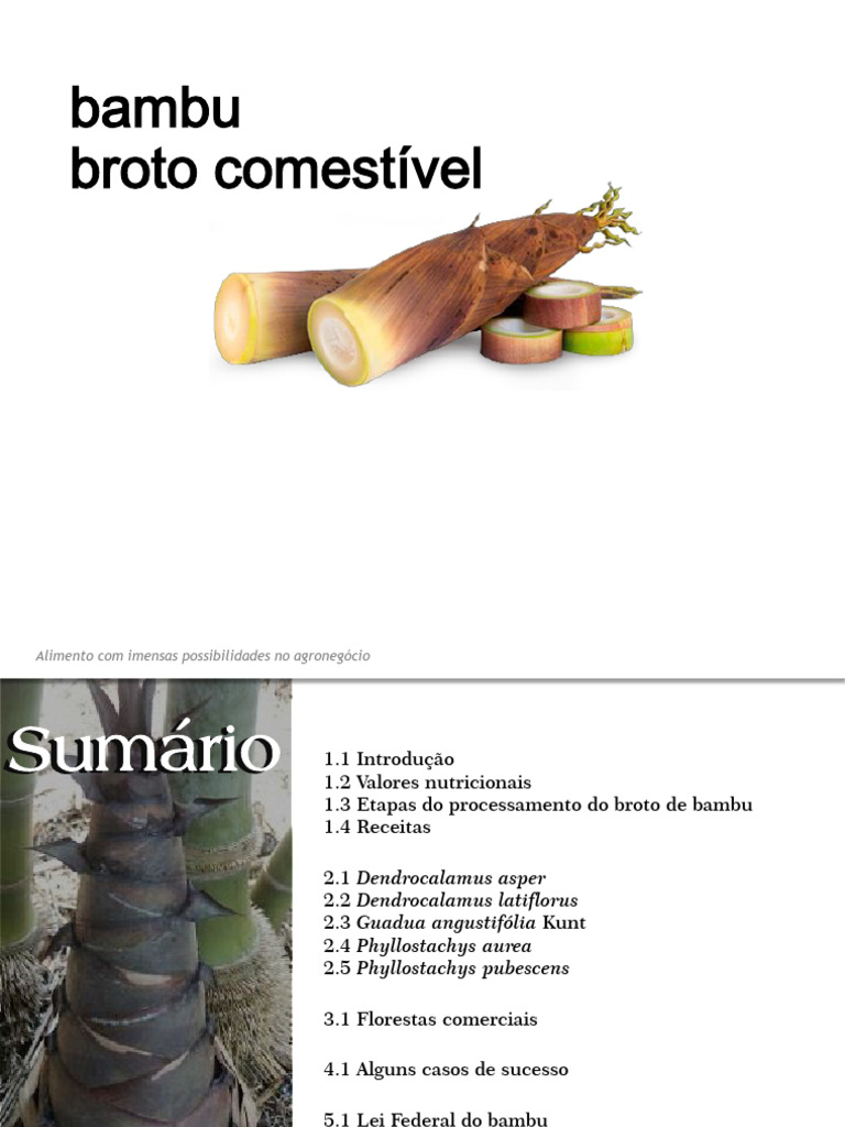 E Book Bambu Broto Comestível | PDF