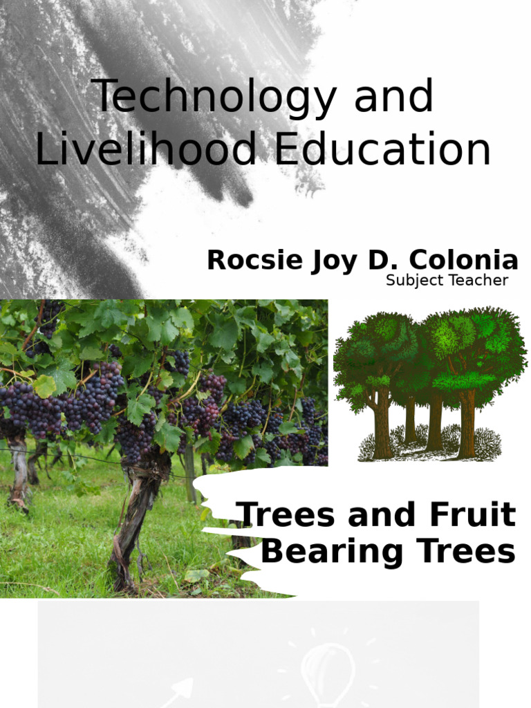 Tle - Afa - M2-3 | PDF