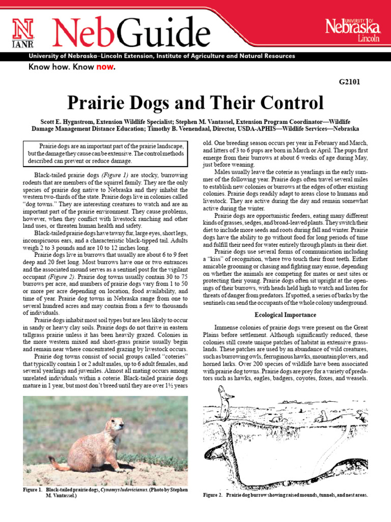 Prairie Dog Control | PDF | Home & Garden
