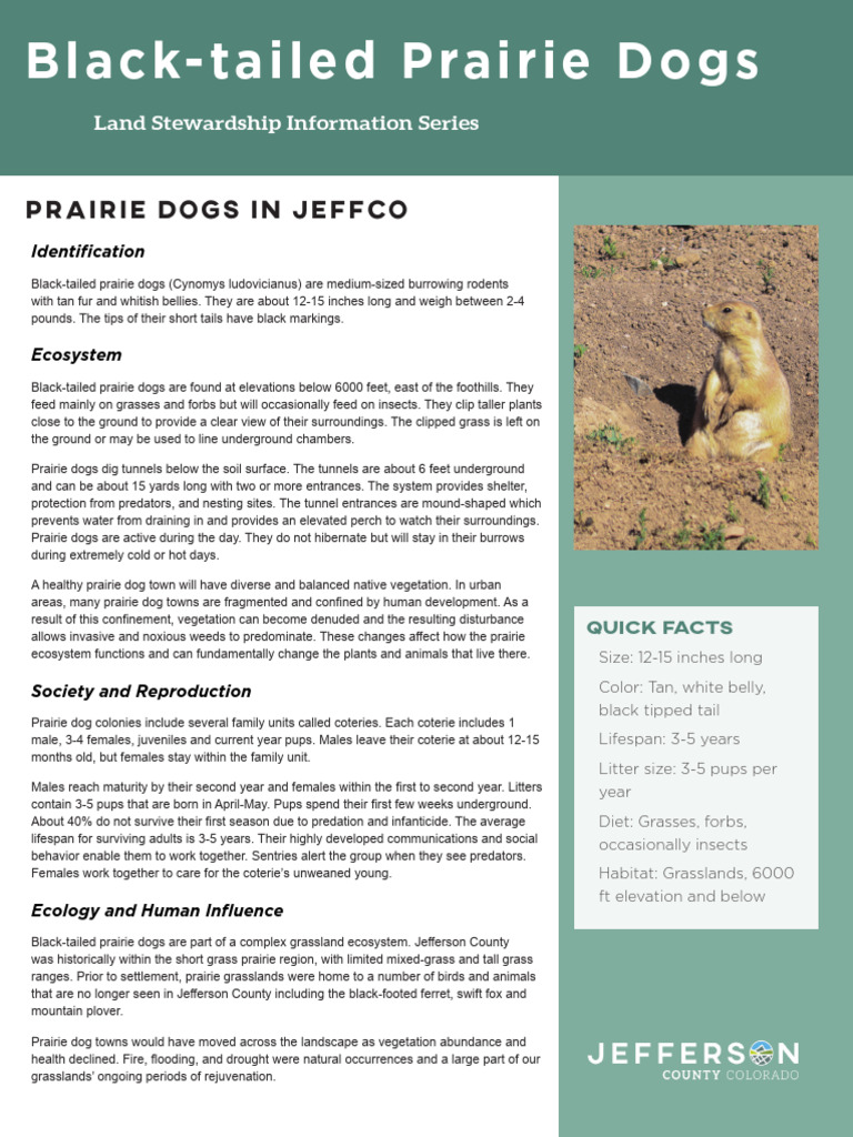 Prairie Dog Fact Sheet 2019 | PDF
