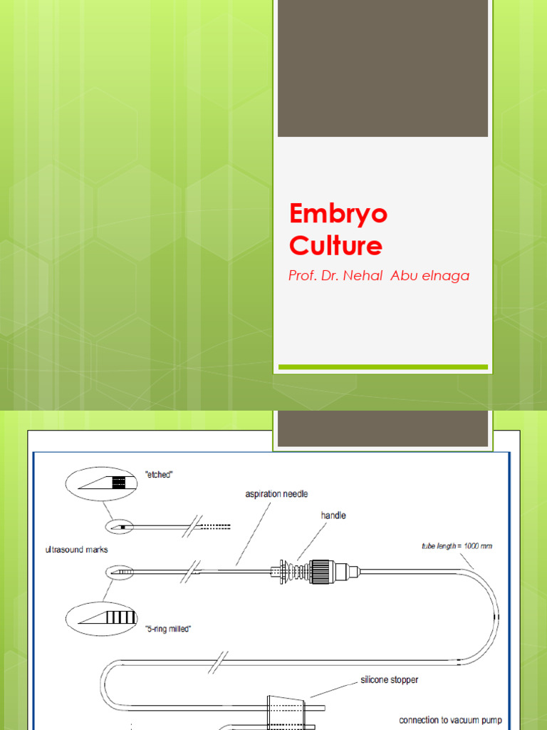 Embryo Culture and Cryopreservation Techniques | PDF | Technology ...