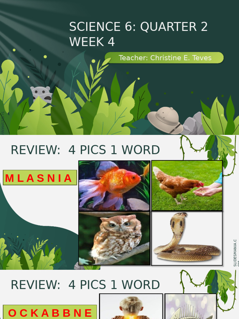 Science 6 Demo q2 Vertebrates | PDF