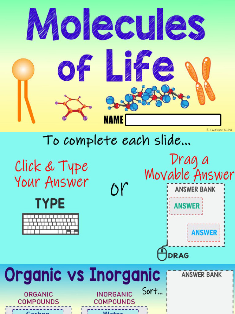 Macromolecules of Life Interactive Notes | PDF