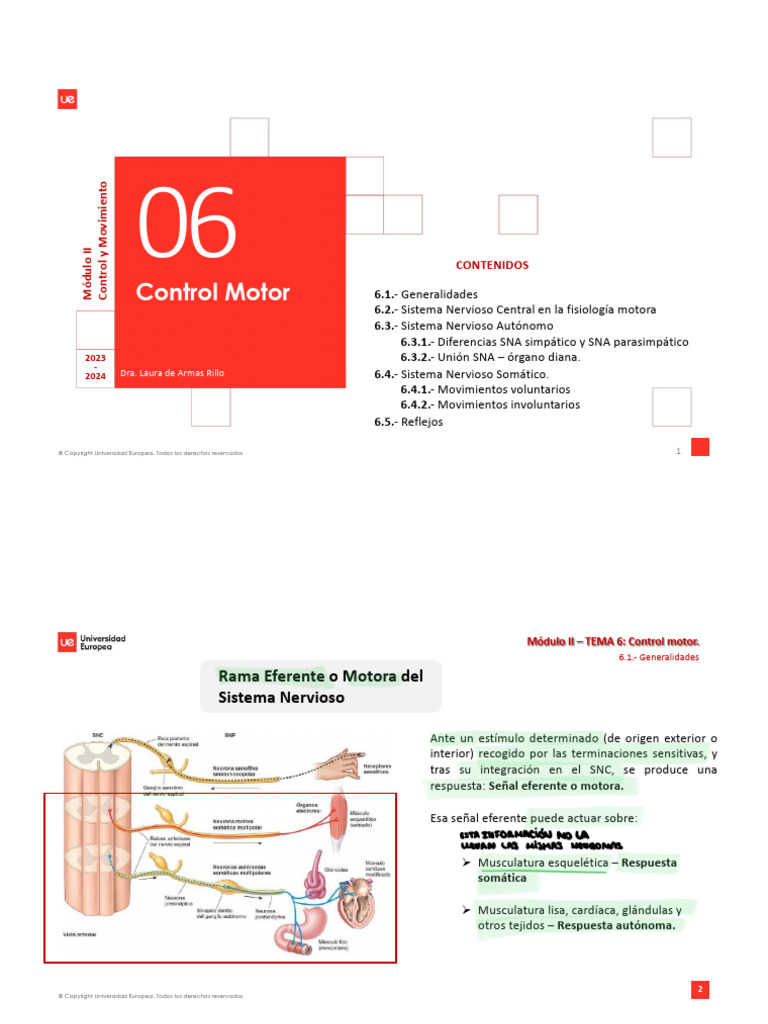 TEMA 6 ControlMotor | PDF