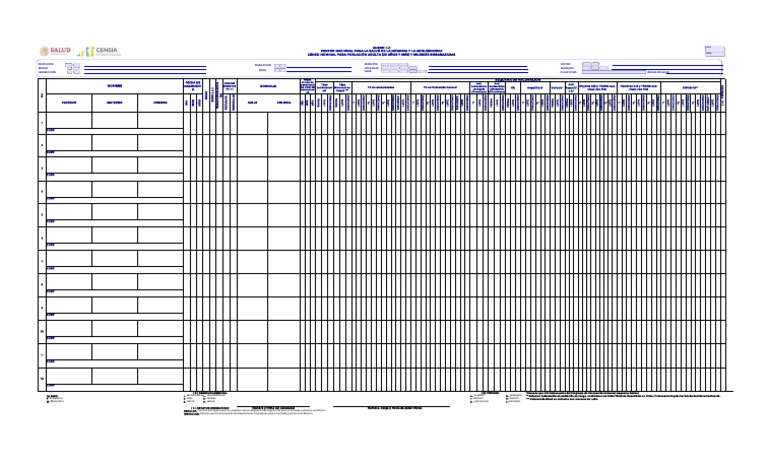 Formatos - Censo - Nominal - CENSIA - 2024 - 20 y Mas | PDF
