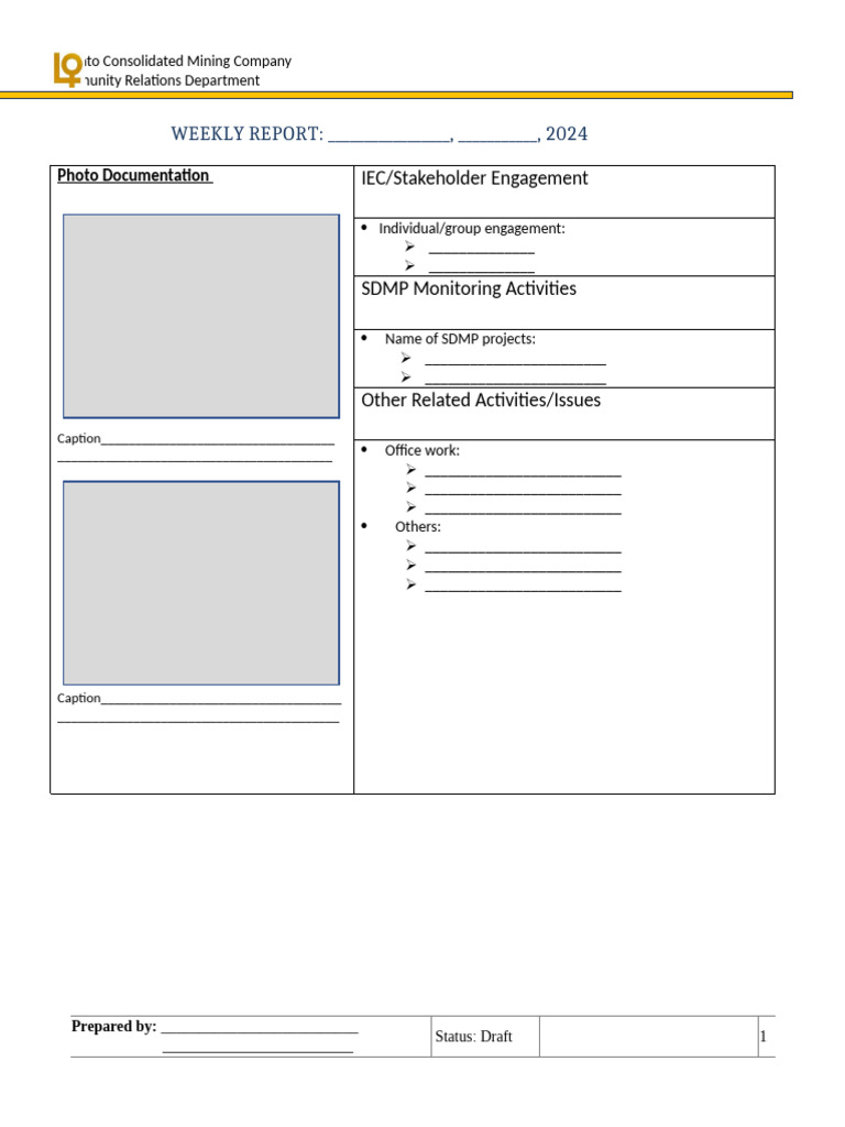 Weekly Report Form | PDF
