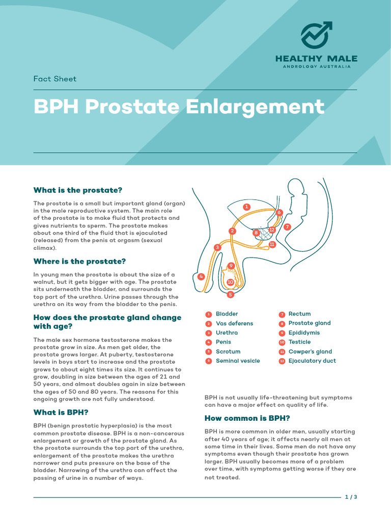 BPH-Fact-Sheet-2019 | PDF