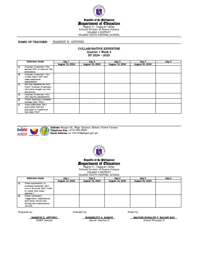 Individual Teacher Template Collaborative Expertise 2 | PDF