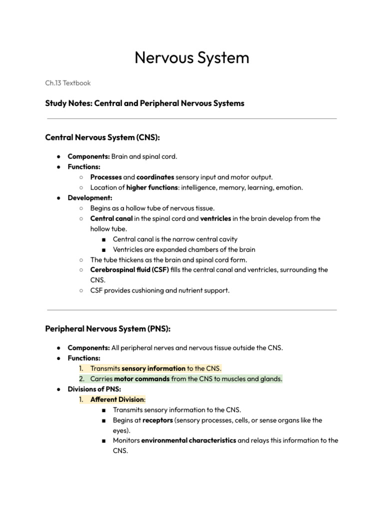 Nervous System | PDF