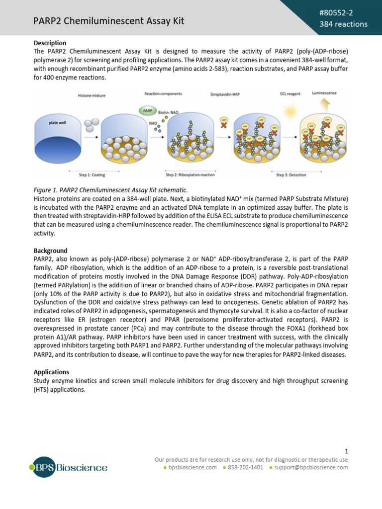 PARP2 Chemiluminescent Assay Kit: Description | PDF