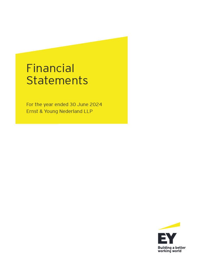 Ey Financial Statements 2024 en | PDF
