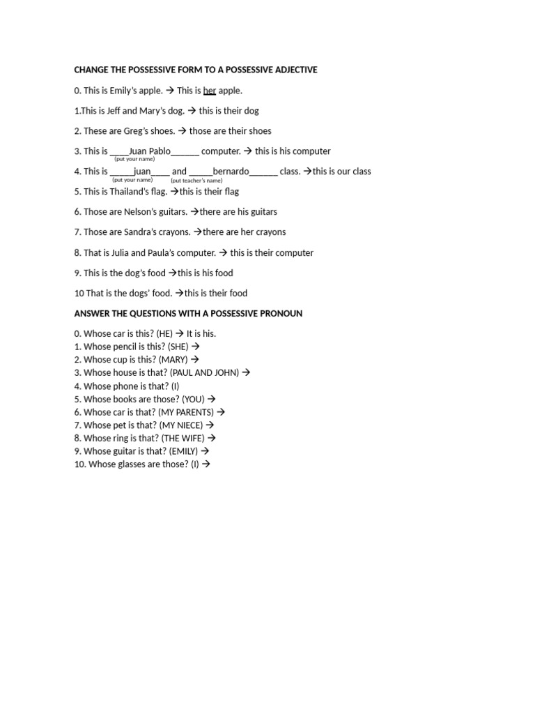 Possessive Adjectives and Possessive Pronouns | PDF