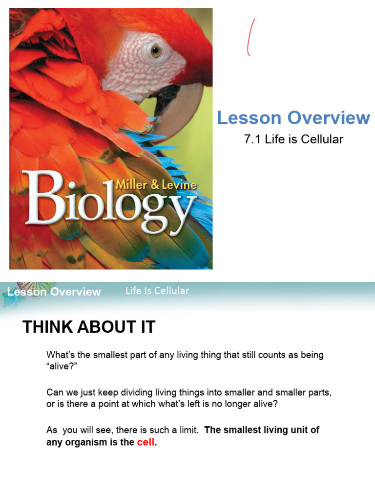 G10 Bio L7.1 | PDF