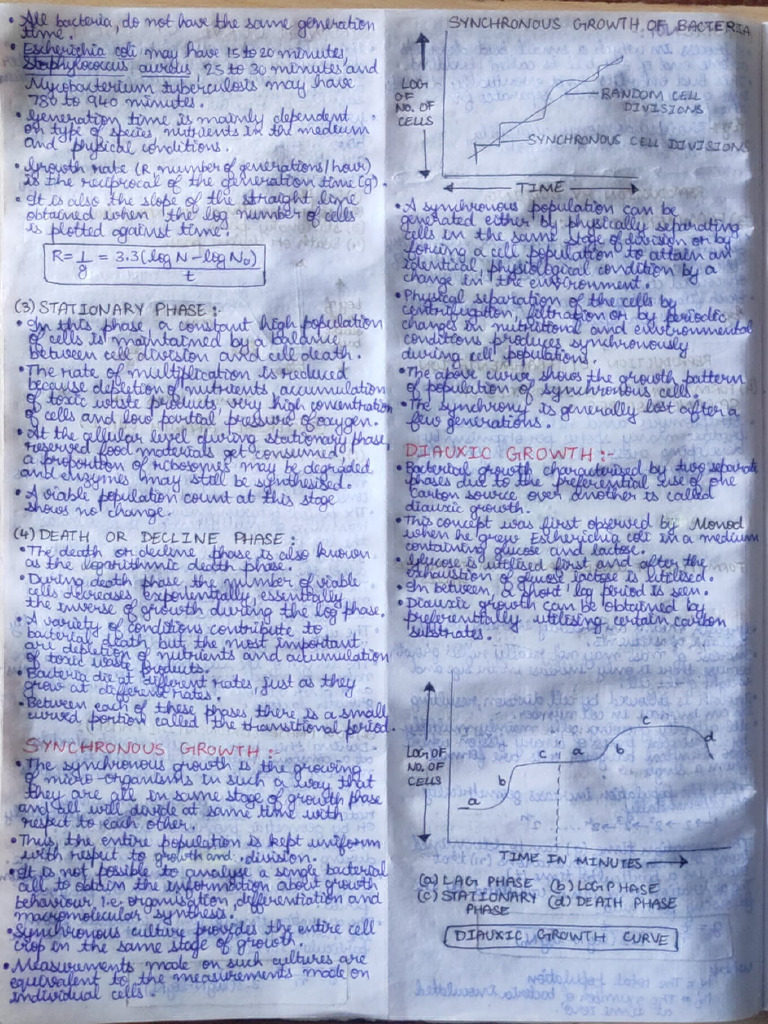 Microbiology Notes | PDF