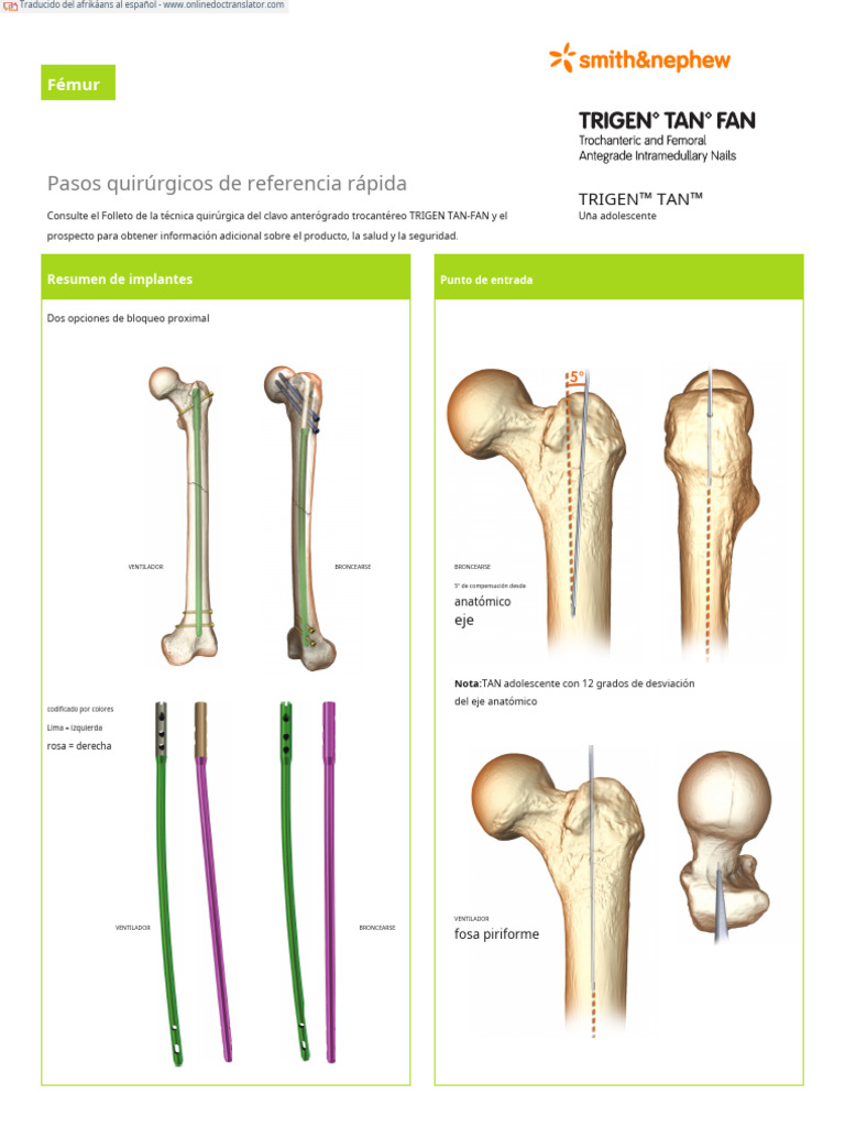 Adolescent Tan Fan Instruments - Af.es | PDF