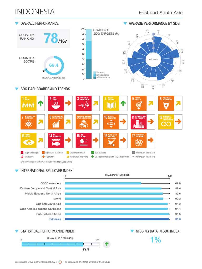 SDR-2024-indonesia | PDF