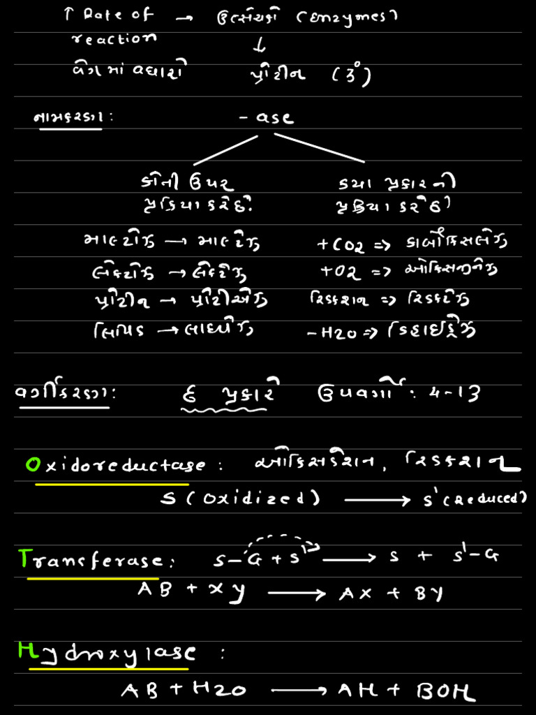 Nirav Soni 13 Oct 2024 11 - 02 - 30 AM | PDF