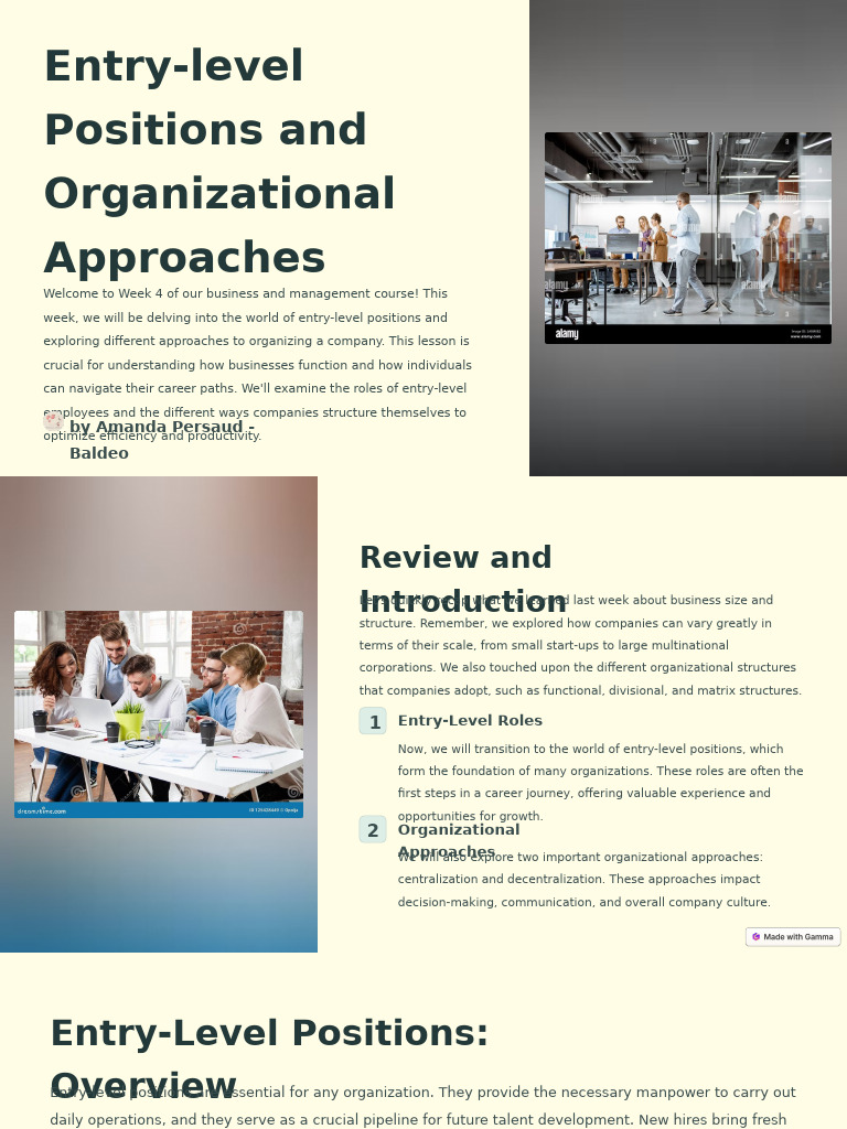 Entry Level Positions and Organizational Approaches | PDF ...