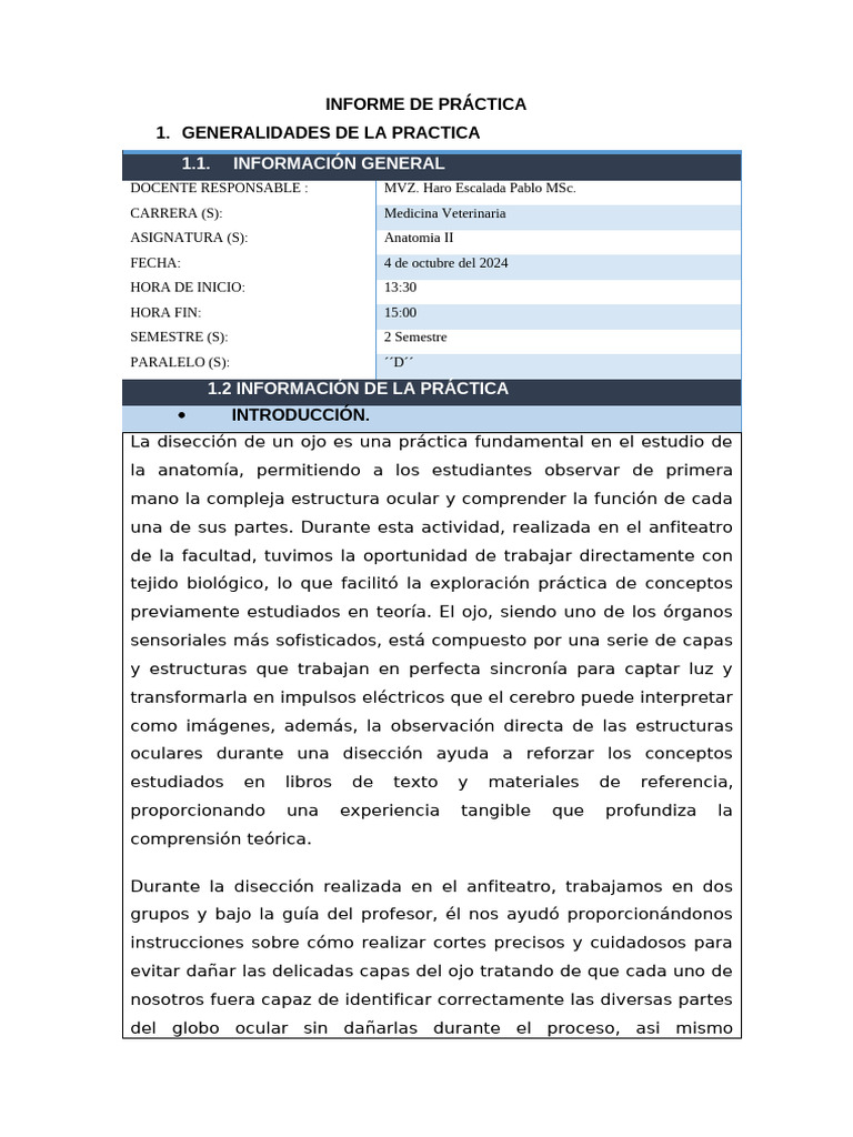 INFORME PRACTICA OJO | PDF