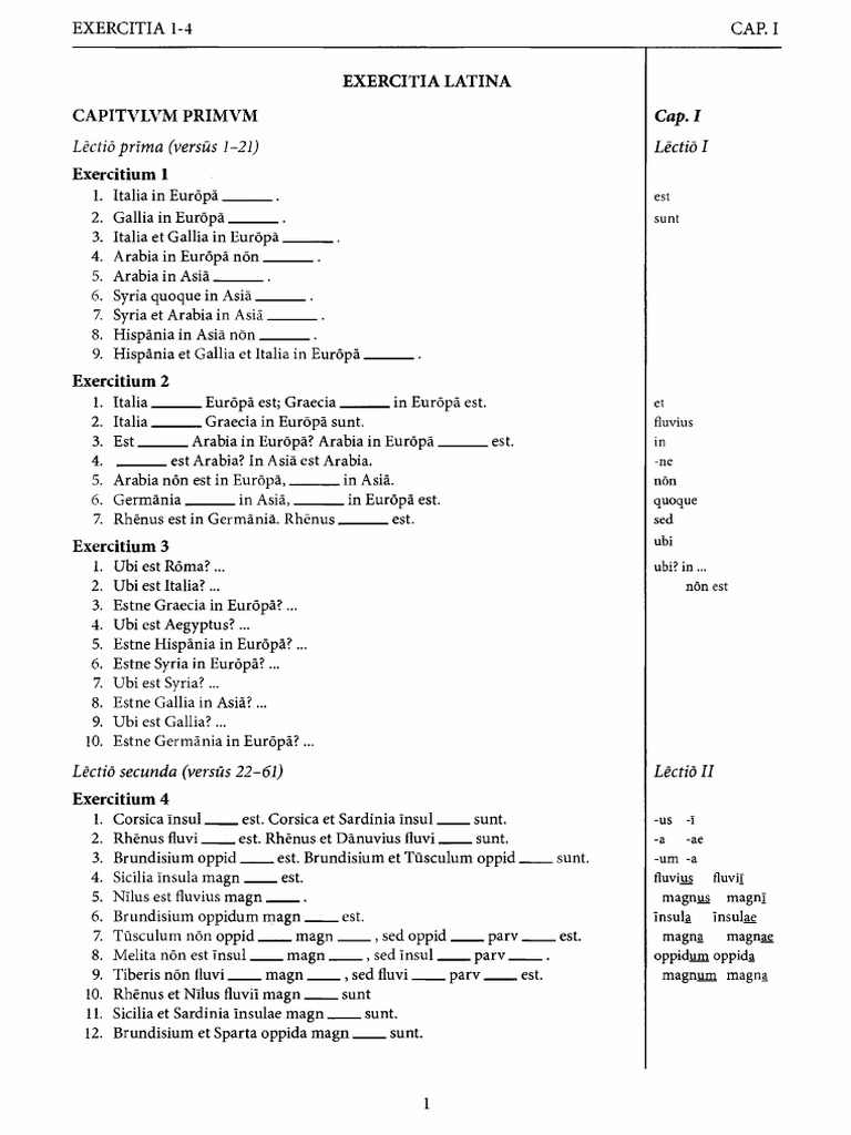 Exercitia Latina-9-17 | PDF