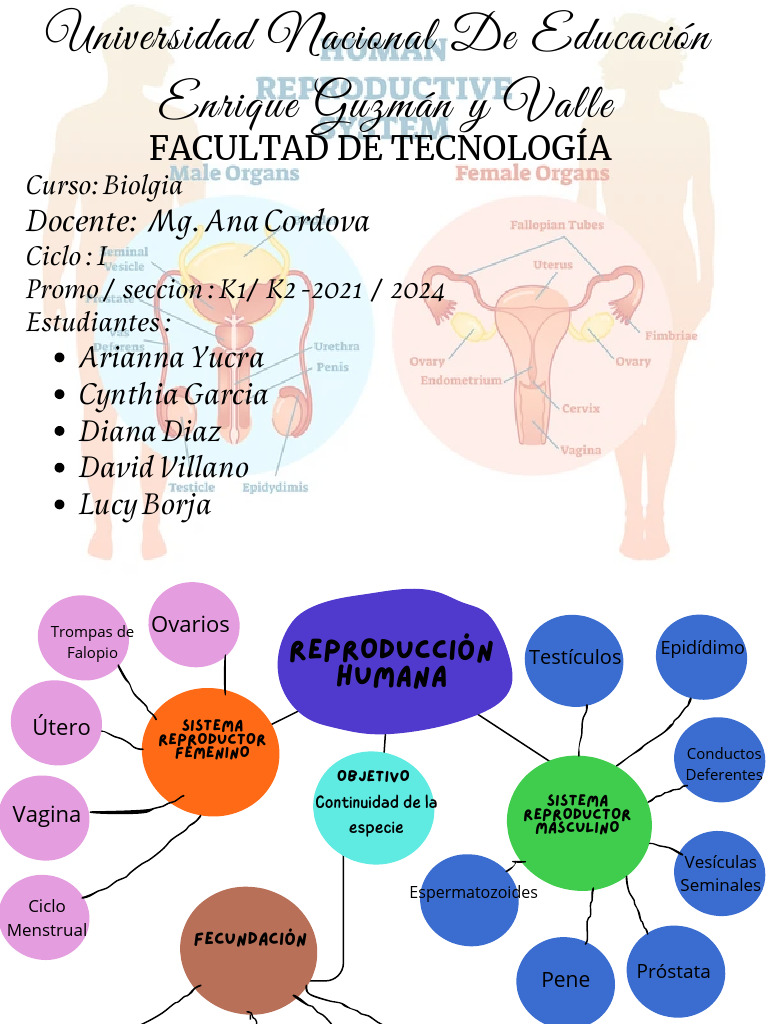 Gráfico Esquema Mapa Mental Empresarial Corporativo Colorido | PDF