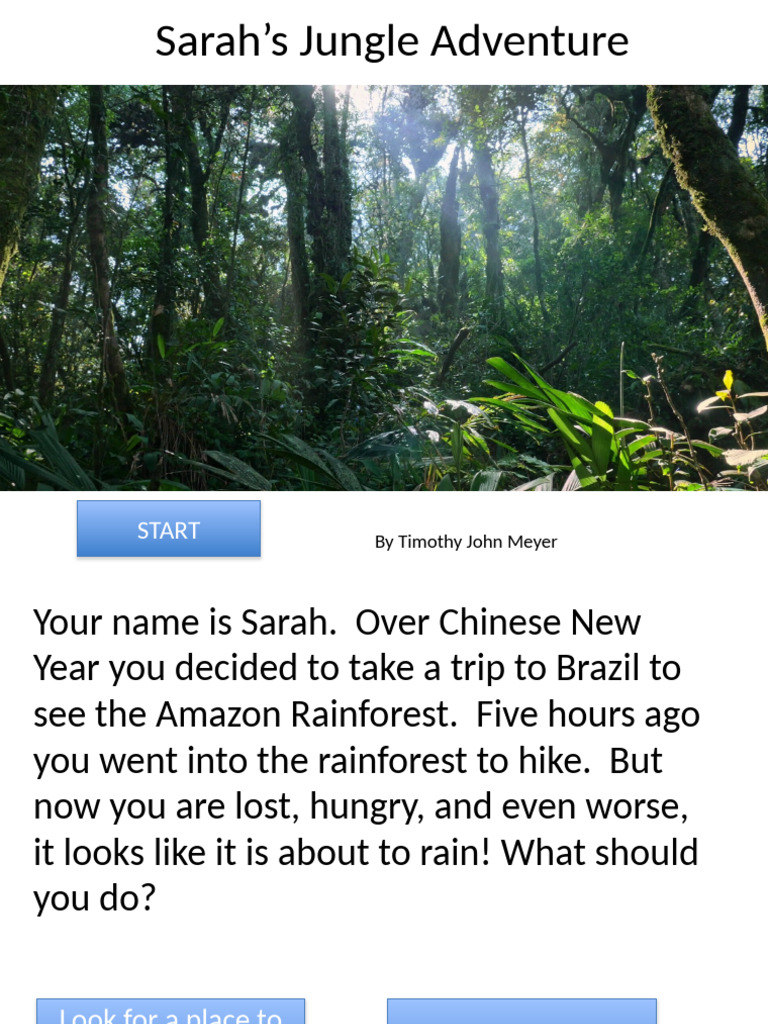 Jungle Adventure | PDF