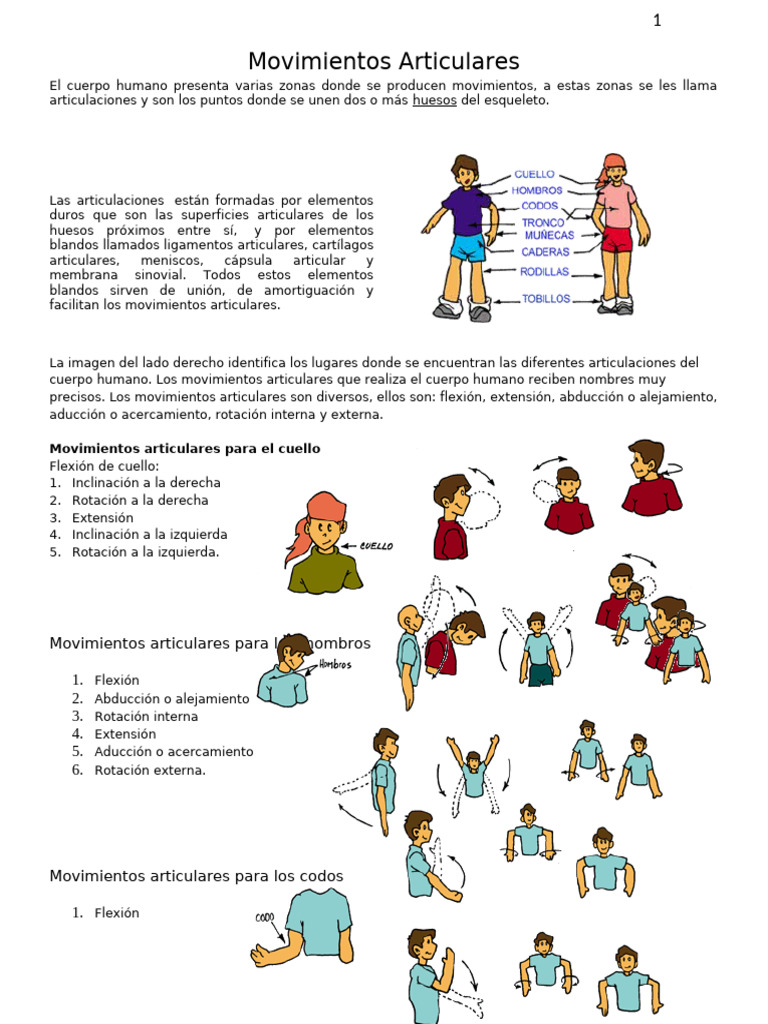Movimientos Articulares | PDF