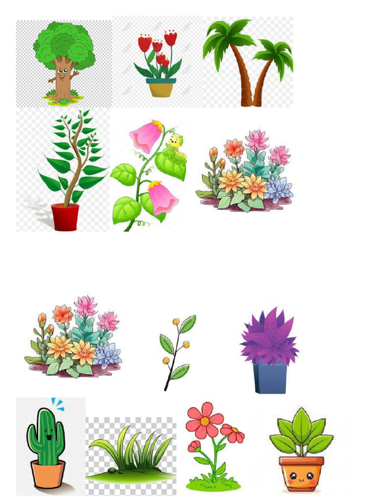 Bingo de Plantas | PDF