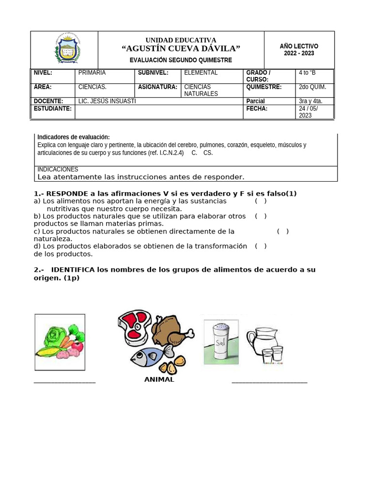Examen CCNN Cuarto | PDF