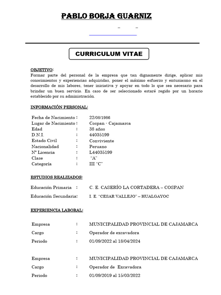 Curriculum Vitae Pablo 2024-2 | PDF