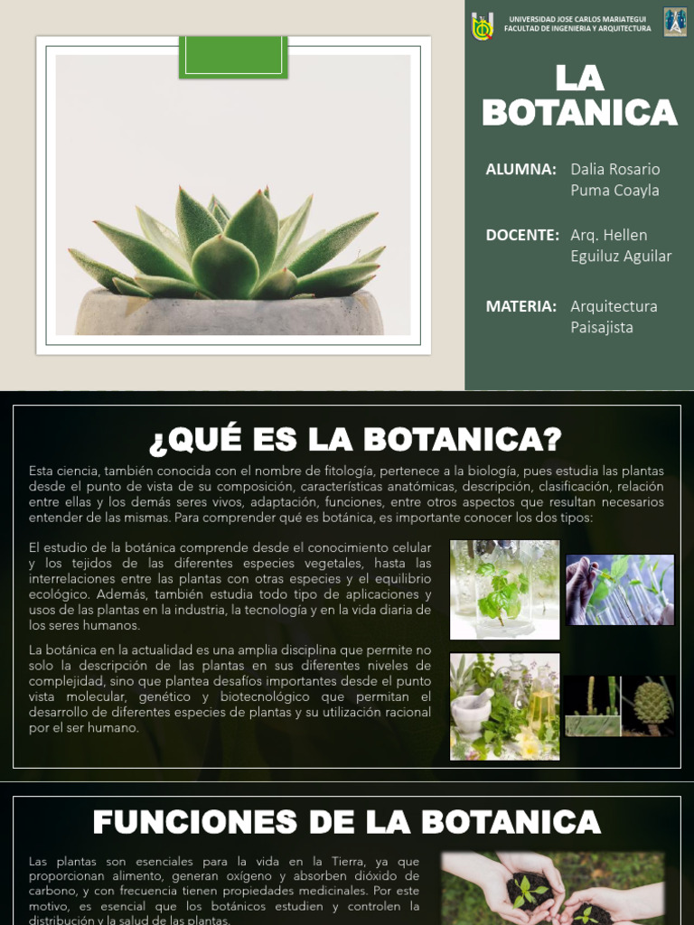 Conceptos y Funciones de La Botanica | PDF