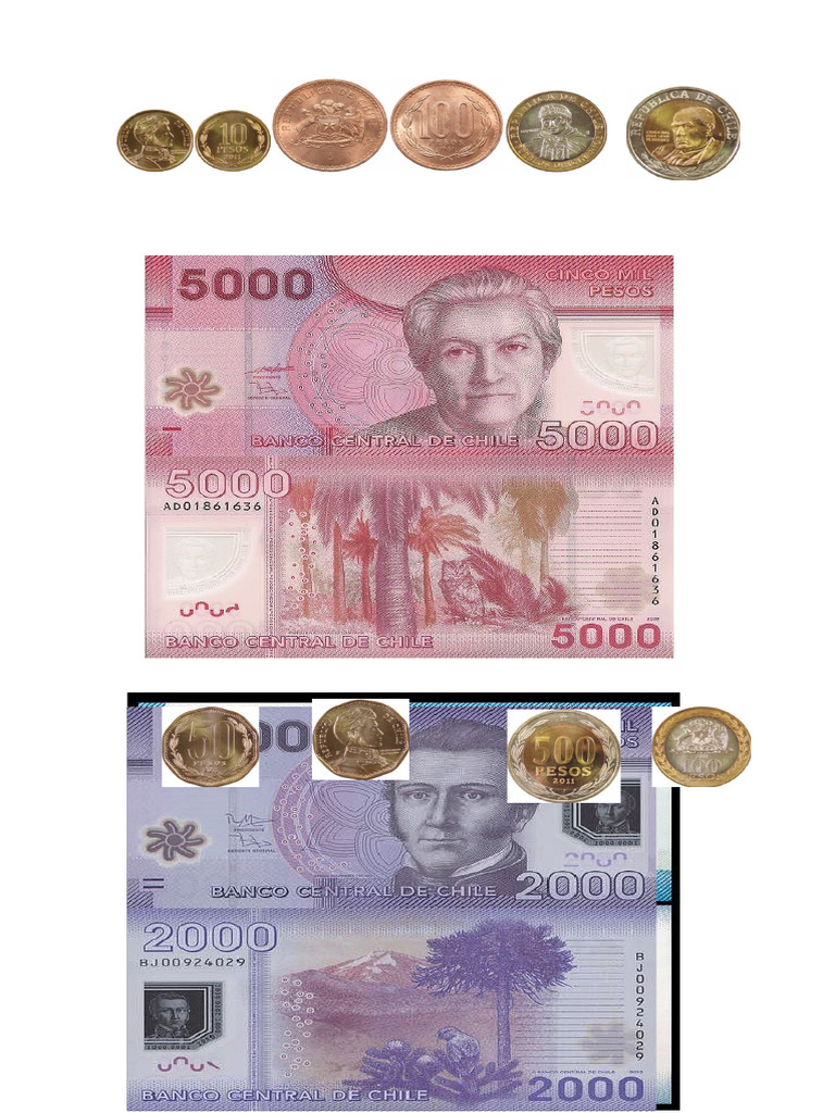 monedas y billetes word | PDF